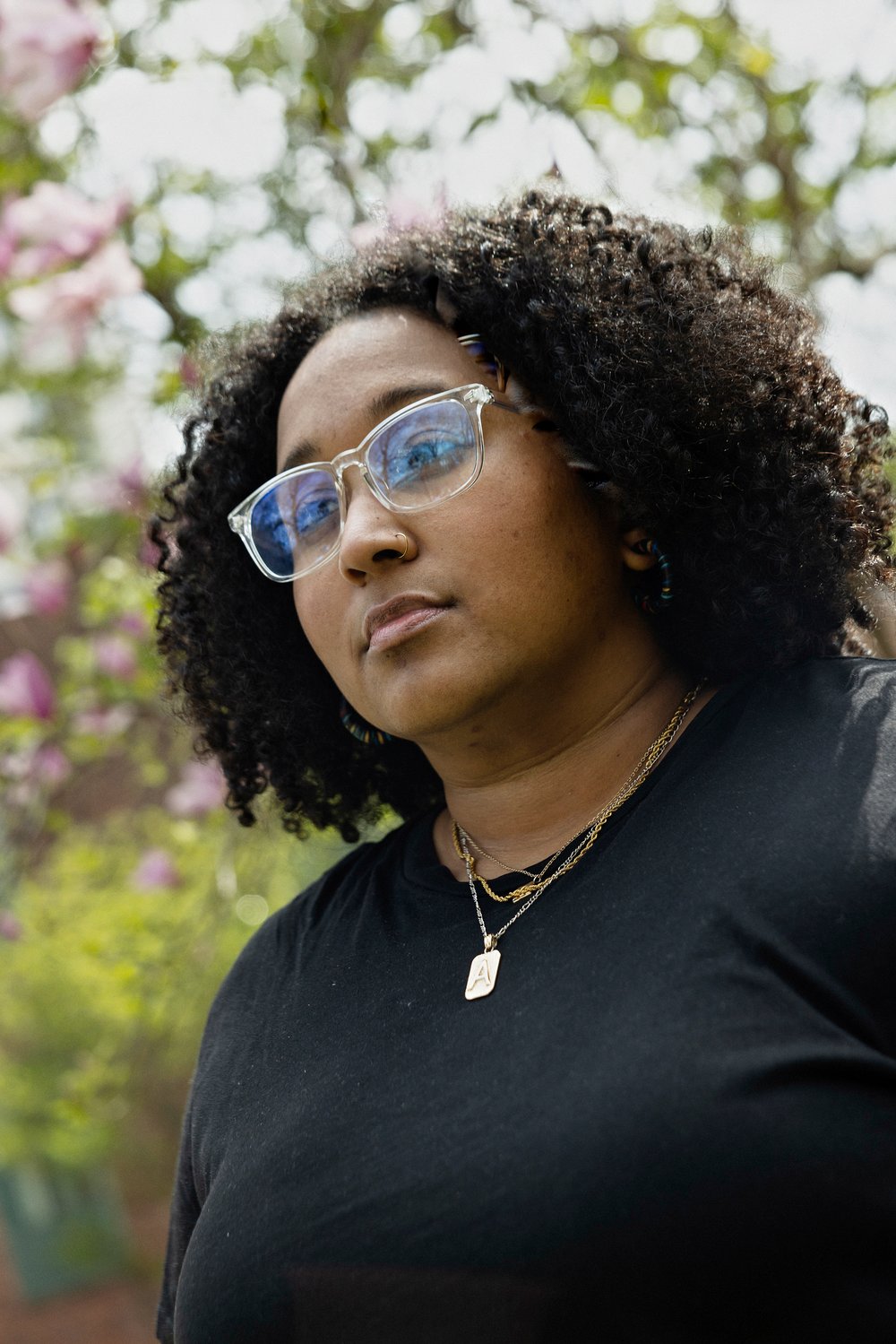 The TJ Show's Significant Newsletter